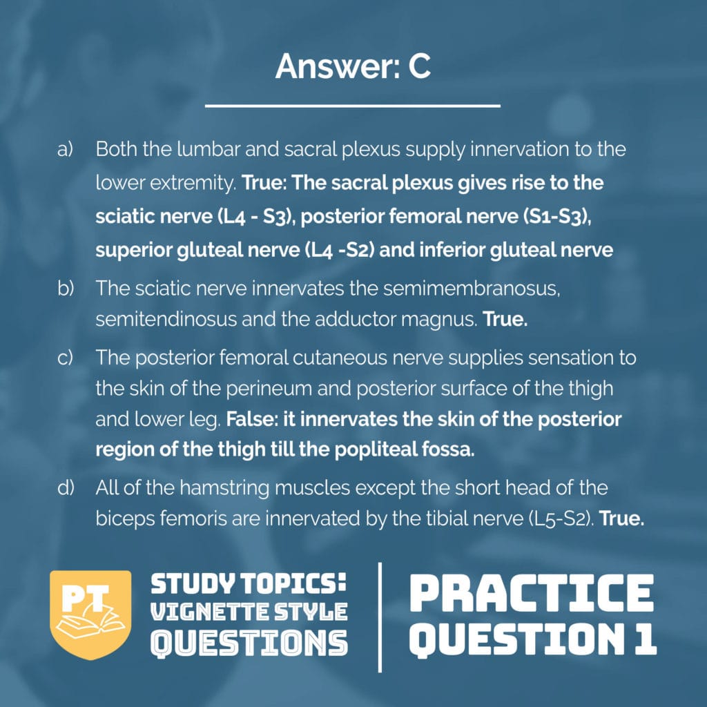 Vignette Style Anatomy Question - PT Exam Prep