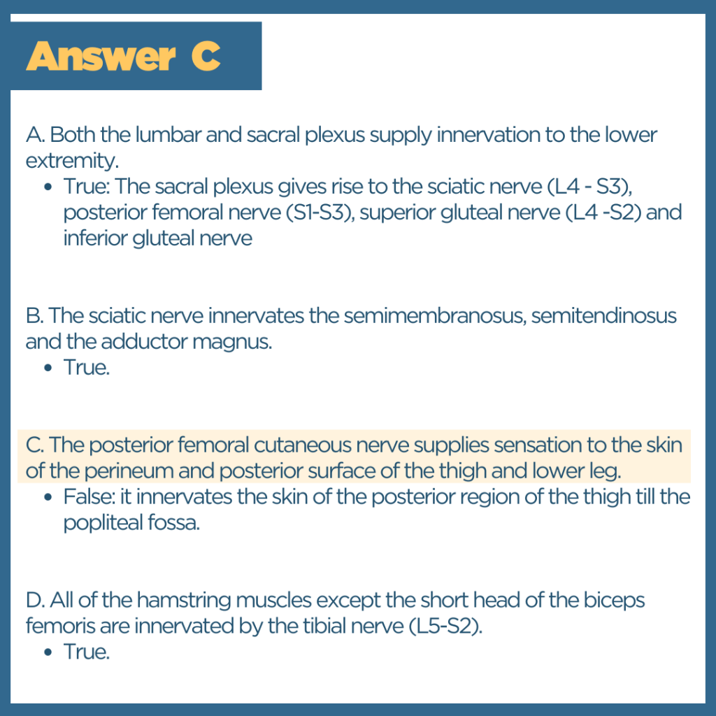 Vignette Style Anatomy Question - PT Exam Prep