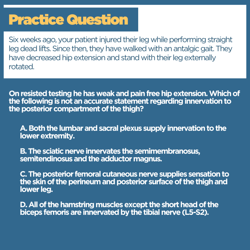 Vignette Style Anatomy Question - PT Exam Prep